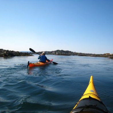A Day in Victoria Kayak Tours, Rentals & Kayaking Courses in Victoria BC