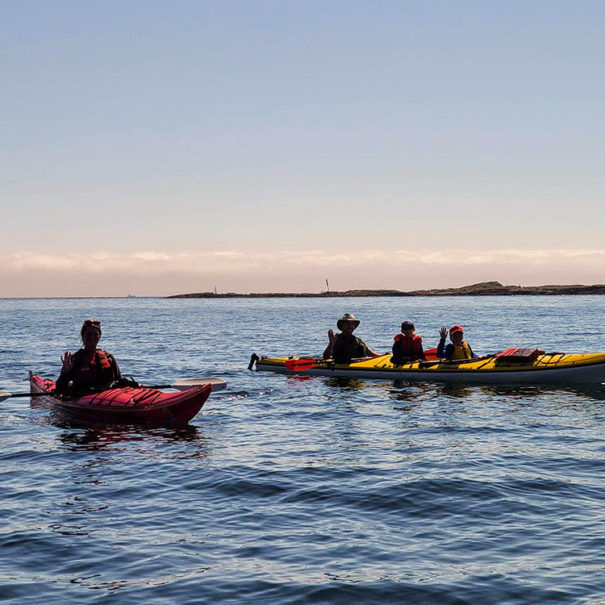 A Day in Victoria Kayak Tours, Rentals & Kayaking Courses in Victoria BC